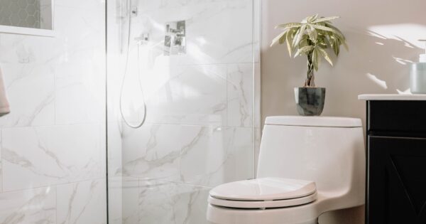 Saniflo Installation: Can You Do It Yourself? | A Professional Guide